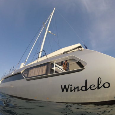 Windelo 54 Review - Katamarans